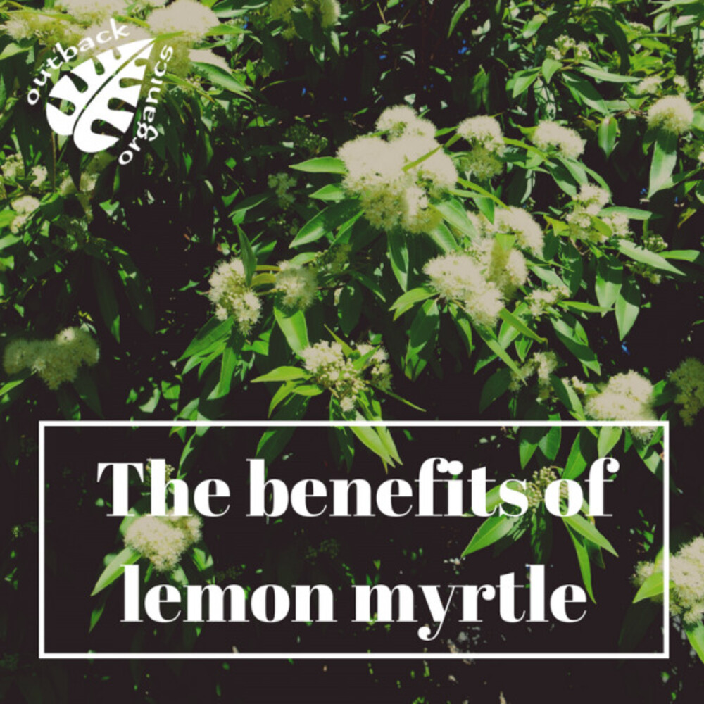 The benefits of Lemon Myrtle Oil | Outback Organics